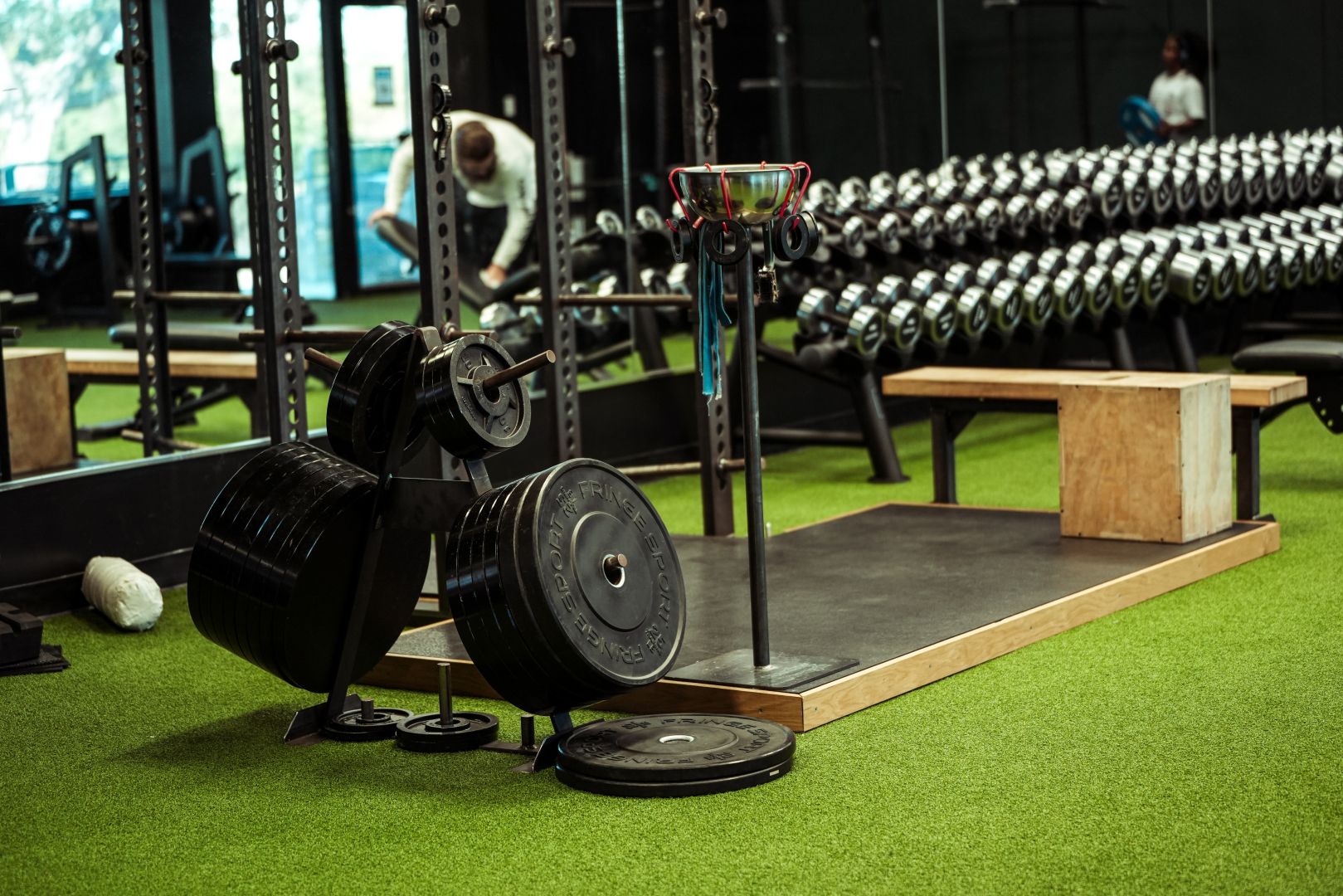 Gallery - Flex & Flow Fitness | Tampa, FL